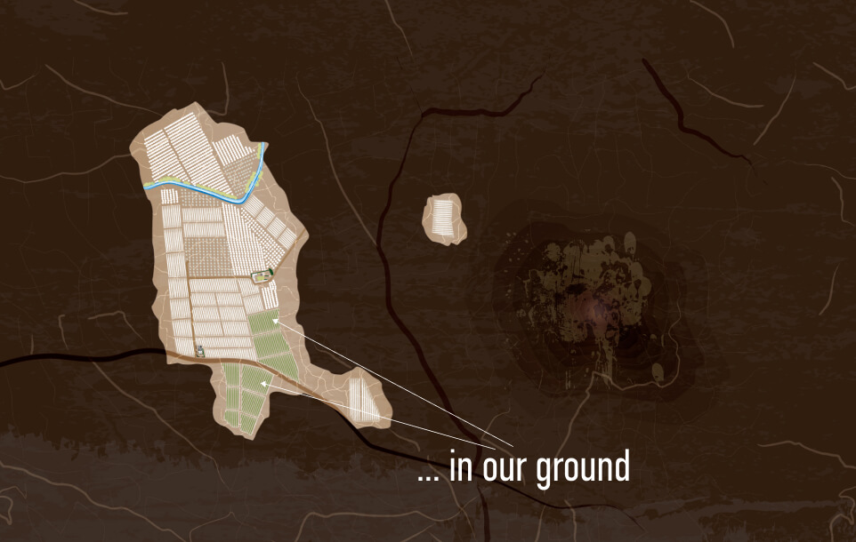 Moschato Spinas - White yellow and clear color, intense floral aromas ...